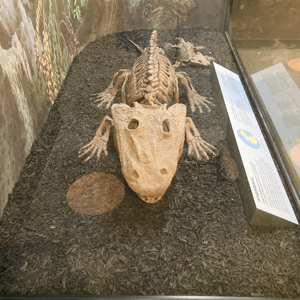 A Visit to the Rochester Museum & Science Center and Strasenburgh ...