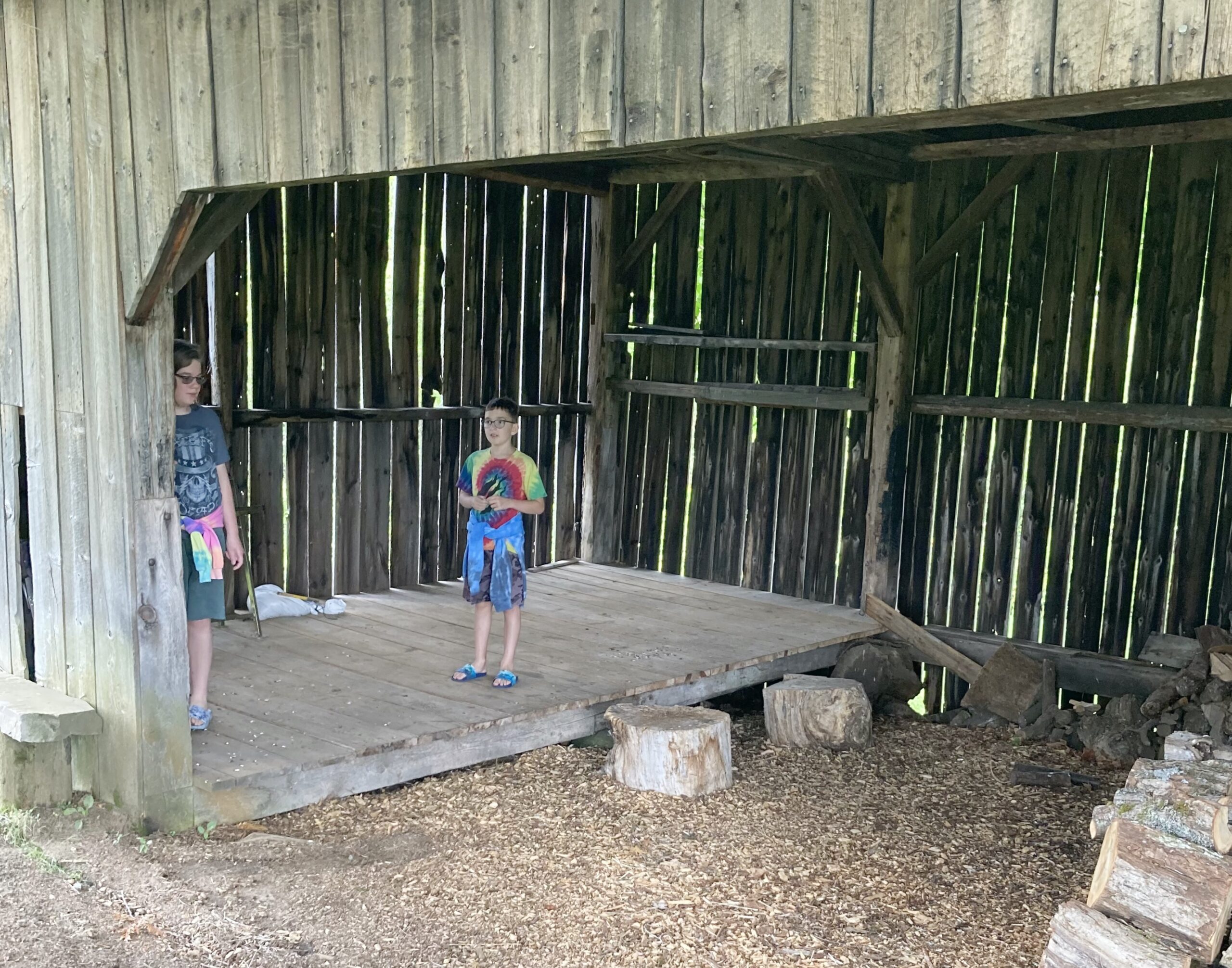 8 – Shelbee on the Edge